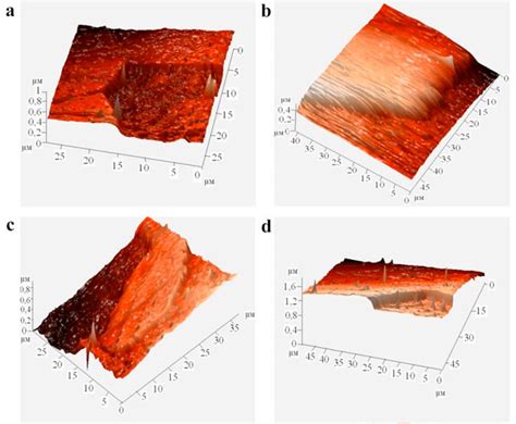 Microstructure Of The Samples After Testing A Without Powder Download Scientific Diagram