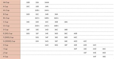 Cup Size Scale At Alden Johnson Blog