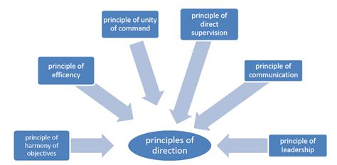 Direction Principles And Practices Of Management