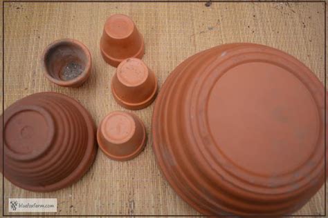 Terracotta Clay Pots Old Fashioned Yet New Again