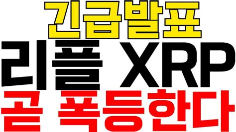 리플 Xrp 긴급발표 곧 폭등한다 Cpi Ppi 리플etf 비트코인 리플코인전망 리플하락이유 리플코인목표가 리플ceo긴급발표