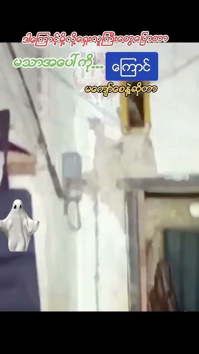 အဲ့ဒါကြောင့် ရှေးလူကြီးတွေပြောတာ မသာအပေါ် ကြောင်မကျော်စေနဲ့ဆိုတာ Youtube