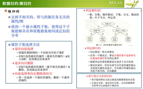 数据分析 数据挖掘 之 第二章：数据预处理 第四节：数据归约数据预处理进阶数据归约 Csdn博客