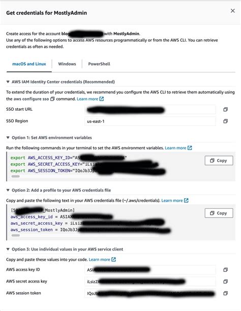 Aws Sso Credentials With Multiple Accounts Dev Community