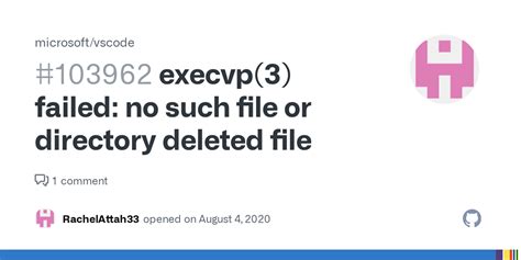execvp 3 failed no such file or directory deleted file · issue