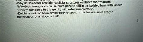 Why Do Scientists Consider Vestigial Structures Evidence For Evolution