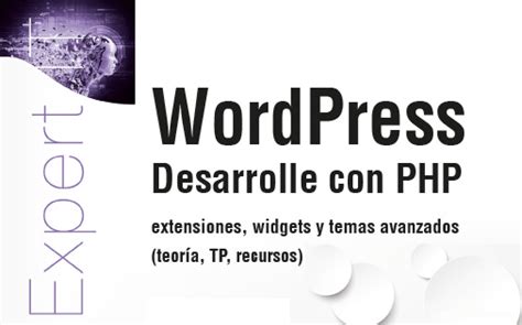 Plugin para crear guardar y mostrar mapa de Google Maps Página web y SEO