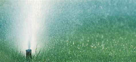 Sprinkler Wont Turn Off How Do We Resolve The Issue