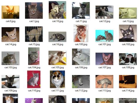 猫狗python机器学习数据集 猫狗分类数据集下载mob64ca1406d617的技术博客51cto博客