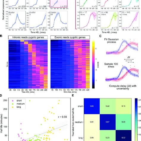 Drosophila Embryo Samples Collected For Rna Seq Time Course Download