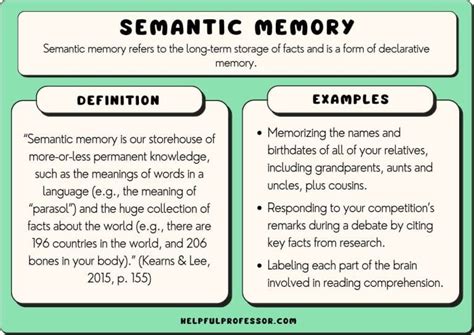 15 Semantic Memory Examples 2025