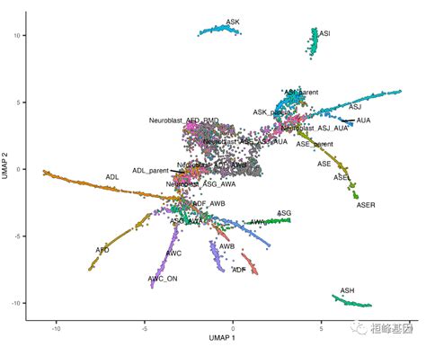 Scs【9】单细胞转录组之构建细胞轨迹 Monocle 3monocle3 指定起点 Csdn博客
