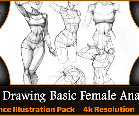 Artstation 300 Drawing Basic Female Anatomy Reference Pack 4k V9