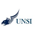 UNSI SRL PRACTICAS 2025 - Convocatorias PreProfesionales y Profesionales