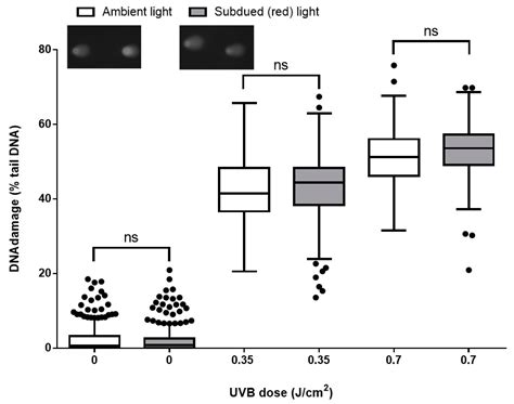Evaluation Of The Major Steps In The Conventional Protocol For The