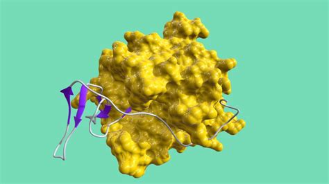 Coagulation A 3d Model Collection By Medchemprof Sketchfab