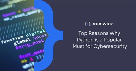 Top Reasons Why Python Is A Popular Must For Cybersecurity
