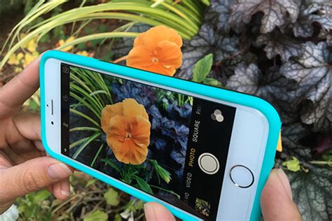 Iphone And Android Photography Class Cork And Click I