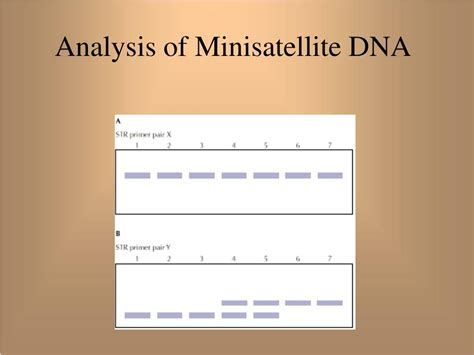 Ppt Genomics Powerpoint Presentation Free Download Id 721868