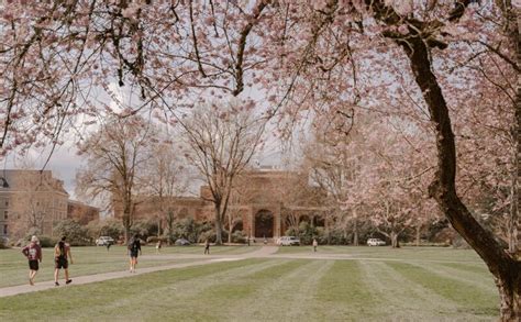 College Of Health Oregon State University On Linkedin Biostatistics Hiring Highered