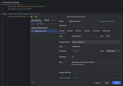 Micronaut Intellij Idea Documentation