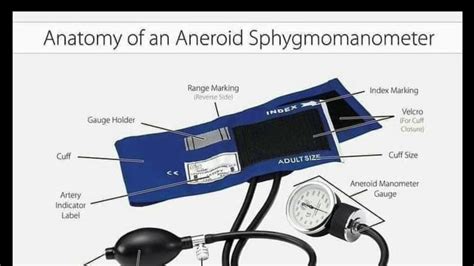 A Well Labelled Diagram Of Sphygmomanometer At Richard Hardin Blog