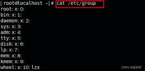 Linux文件类型与权限 linux文件类型及权限 CSDN博客