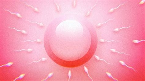 [xcl] [superseded] Temp Breeder Pill Mod Other Unsorted Loverslab