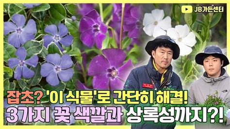 꽃에 있는 핀