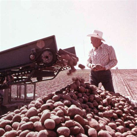 J R Simplot Company On Linkedin The J R Simplot Company Began To Take Shape In The Farm