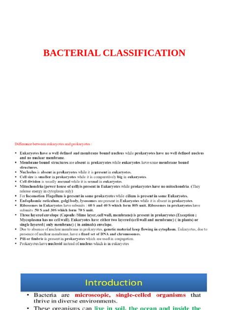 Bacterial Classification Pdf Bacterial Classification Pdf