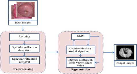 Overall Structure Of Proposed Methodology Download Scientific Diagram