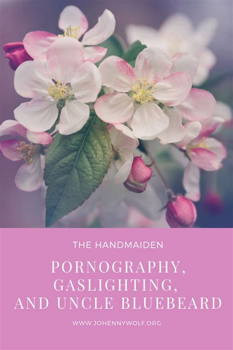 The Handmaiden Pornography Gaslighting And Uncle Bluebeard