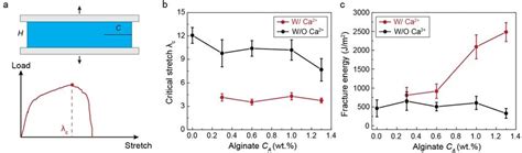 Fig S8 Fracture Test To Measure The Fracture Toughness Of The Two Download Scientific Diagram
