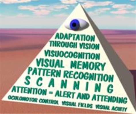 Visual And Visuospatial Deficits Assessment And Intervention Flashcards