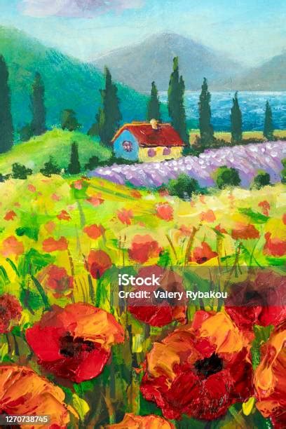 수직 유화 아름다운 여름 풍경 필드 빨간 꽃 양귀비 작은 집과 토스카나 이탈리아의 사이프러스 꽃 식물에 대한 스톡 벡터 아트 및 기타 이미지 Istock