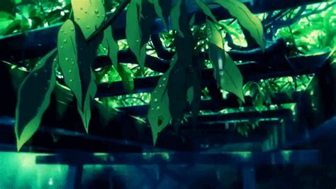 Green Leaf  Green Leaf Nature Discover And Share S