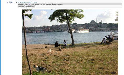 Running Maskr Cnndemoipynb Cant Get The Right Predictions · Issue