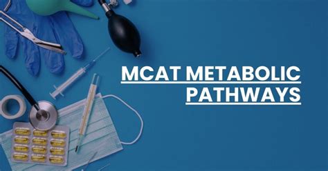 Mcat Metabolic Pathways Mcat 101