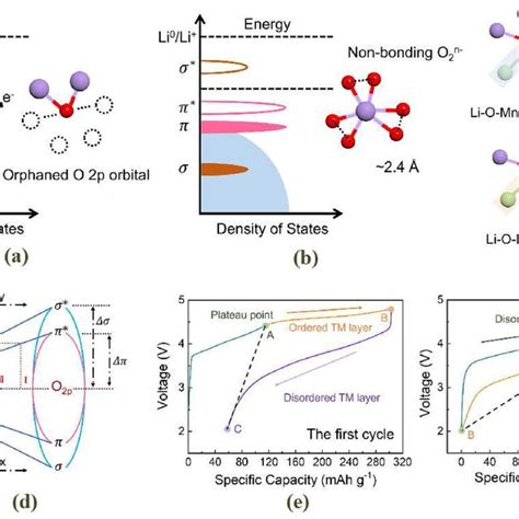 Schematic Illustrations Of Different Theoretical Models Proposed To