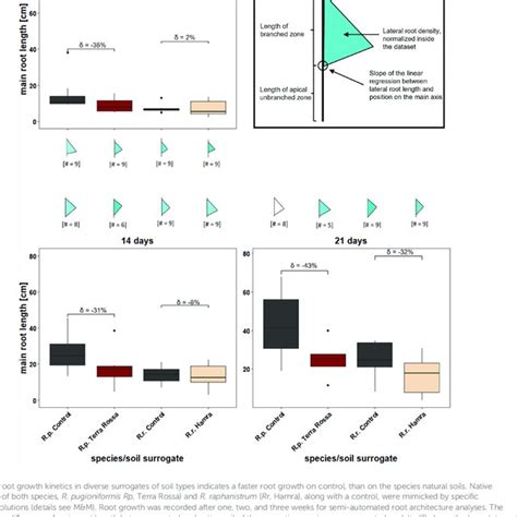 Two Way Anova Visualization To Identify Interesting Patterns Between Download Scientific