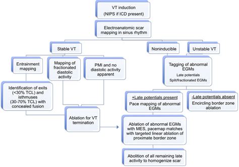 E Approach To Catheter Mapping And Ablation Of Ventricular Tachycardia Download Scientific