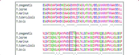 multiple sequence alignment multiple sequence alignment of ftsy gene