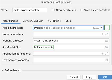 Nodejs With Docker Intellij Idea Documentation