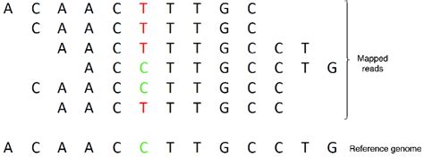 6 a simplified scenario of read alignment with a reference genome red
