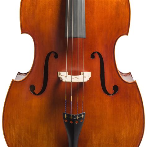 Vivente Double Bass Setup With Helicore Strings Bass Bags