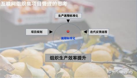 互联网公司，组织级项目管理存在的问题及反思 知乎