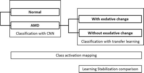 Optical Coherence Tomography Based Deep Learning Models For Classifying Normal And Age Related
