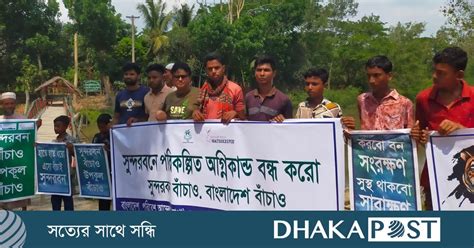 ‘সুন্দরবনে বারবার আগুনের দায় বনবিভাগ এড়াতে পারে না