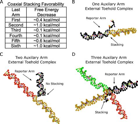 Coaxial Stacking In Multi Arm Junction Complexes A Table Of Values